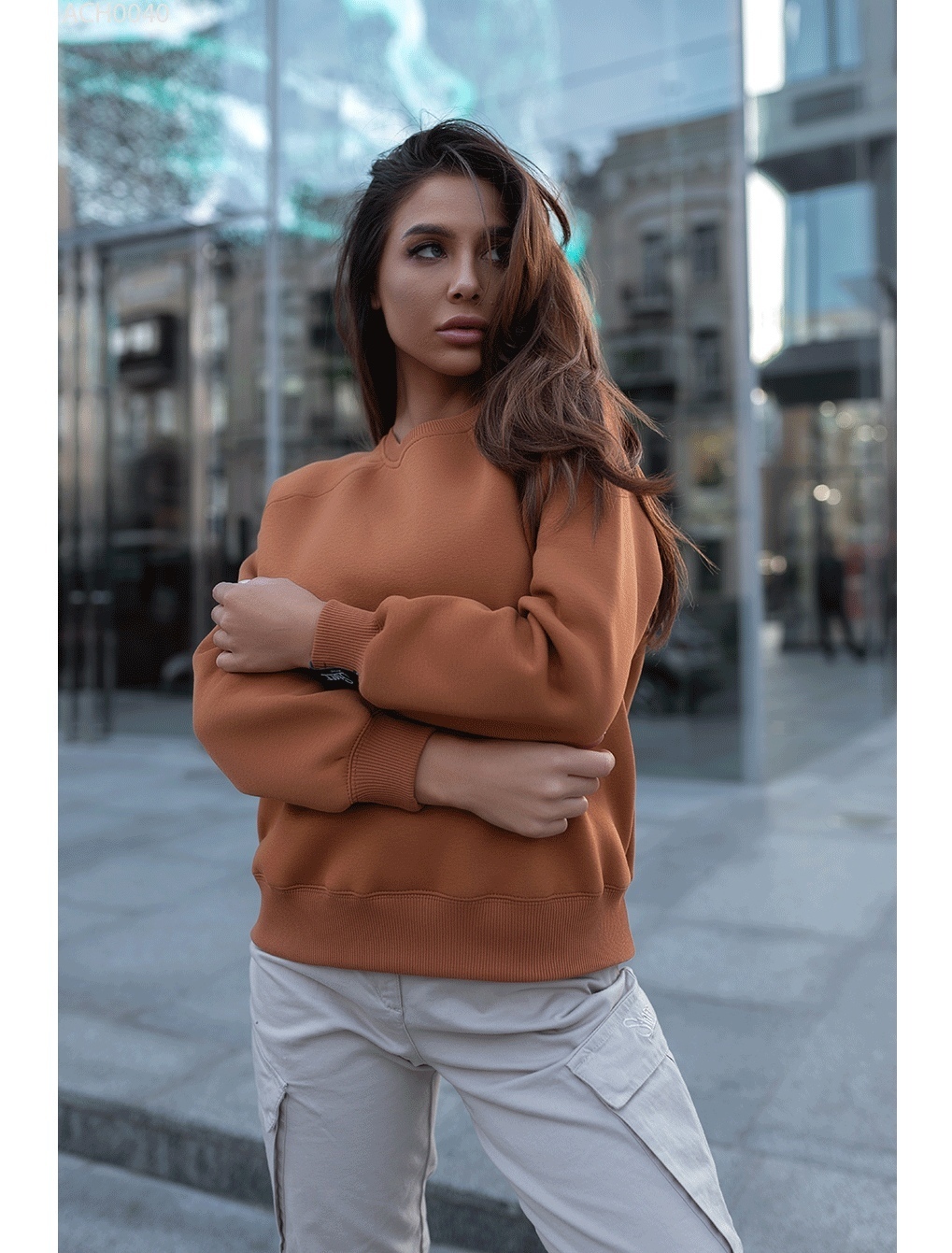 Жіночий світшот Staff brown basic fleece купити в Україні. Ціни на Жіночий світшот Staff brown ...